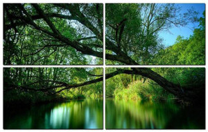 Nature 4 Panel Wall Art Painting With UV Coating 36x24 inches on 4mm ...
