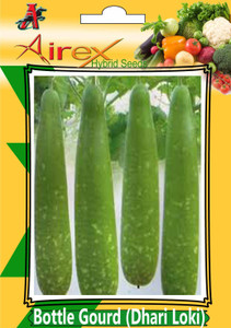 Airex Bottle Gourd (Dhari Loki) Hybrid Vegetables Seed (Pack Of 15 Seed ...