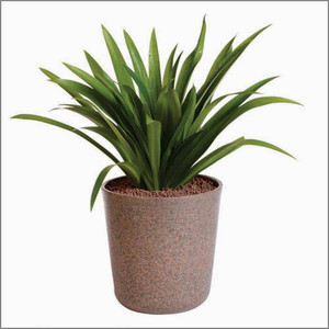 sereno Bello Plastic Flower Pot (Garden flower pots / planters for club ...