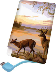 ape 2600 mAh Power Bank Price in India - Buy ape 2600 mAh Power Bank ...