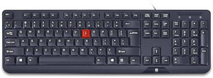 iball Sleek T9 Wired USB Standard Desktop Keyboard Compatible with ...