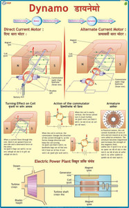 Dynamo Generator Chart Paper Print - Educational posters in India - Buy ...