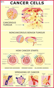 Cancel Cells Chart Paper Print - Educational posters in India - Buy art ...