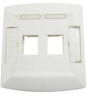 Molex Face Plate Dual Port Network Interface Card - Molex : Flipkart.com