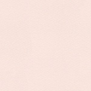 Excel Wall Interiors Floral & Botanical Pink Wallpaper Price in India ...