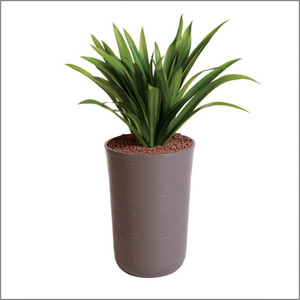 sereno Bello Plastic Flower Pot Beautiful Fancy Salvia Flower ( Garden ...