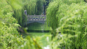 Amazing Places and Cities Vinyl Poster Paper Print - Places posters in ...