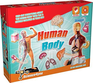Science4You Human Body Kit Educational Science Toy Stem Price in India ...