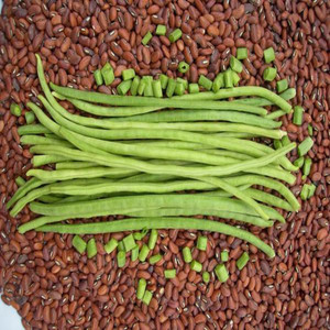 AllThatGrows Cowpeas Seeds, Long Green Bean Barbati, Borbati Vegetable ...