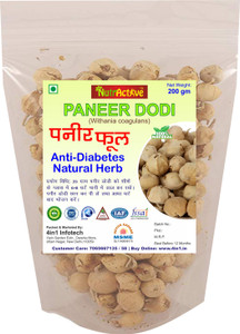 NutrActive Paneer DODI | Indian Rennet | Paneer Doda | Paneer Ka Phool ...