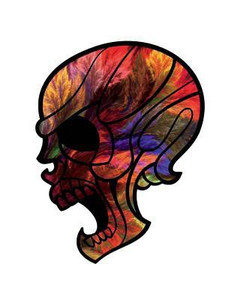 Skull Graph Paper Book: Buy Skull Graph Paper Book by Books Bella at ...