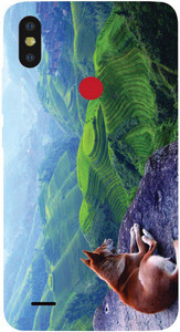 Everything. Back Cover for Tecno CAMON I Sky IN2 - Everything ...