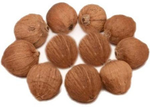 Ever Forever Shreephal / Laghu Nariyal / Mini Coconut Wooden Yantra ...