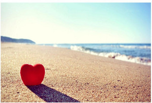 LOVELY SEE POSTER FOR ROOM (18 inch x 12 inch) Paper Print - Places ...