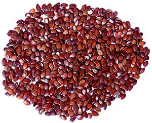 Bokashi bran Subabul Tree Seed 1KG Seed Price in India - Buy Bokashi ...