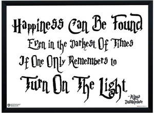 WB Official Licensed Harry Potter Albus Dumbledore Happiness Can Be ...