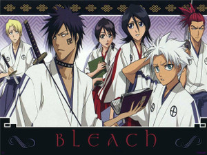 Athah Anime Bleach Hisagi Shūhei Tōshirō Hitsugaya Rukia Kuchiki Renji ...