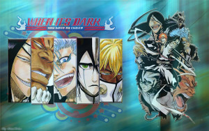 Athah Anime Bleach Nnoitra Gilga Yammy Llargo Grimmjow Jaegerjaquez ...