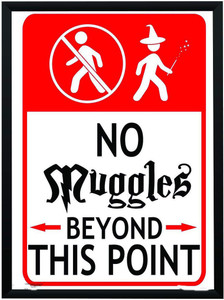 WB Official Licensed Harry Potter No Muggles Beyound This Point Poster ...