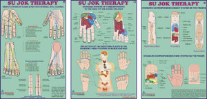 Sujok Therapy Chart-Set Of 3 Size 20"x30": Buy Sujok Therapy Chart-Set ...