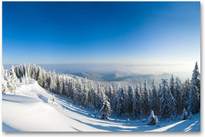 Wall Poster - Snow - Valley - Trees - White - HD Quality Wall Poster ...