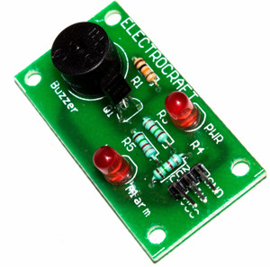 ELECTROCRAFT EC-0003 Micro Controller Board Electronic Hobby Kit Price ...