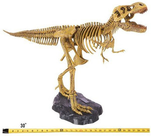 Genrc Eduscience - Wacky Lab - Mighty T-Rex Model Kit By Beckett ...