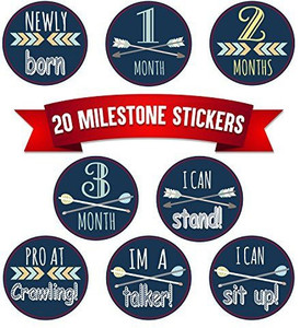 Genrc Formal Connections Monthly Baby Milestone Stickers - Scrapbook ...