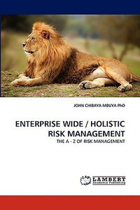 Enterprise Wide / Holistic Risk Management: Buy Enterprise Wide ...