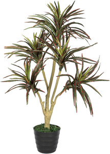 PolliNation Yucca Artificial Plant Price in India - Buy PolliNation ...