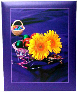 NATRAJ Memo Photo Album with 0.6mm Thick Extra Clear PVC Film, 200 ...