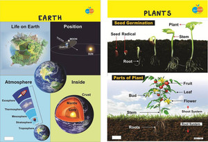 Earth Informative And Plants Informative Poster For kids Paper Print ...