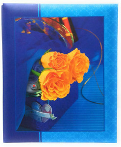 NATRAJ Slip In Photo Album with 0.6mm Thick Extra Clear PVC Film, 100 ...