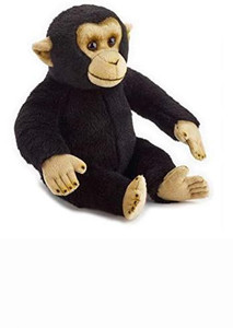 NATIONAL GEOGRAPHIC Hand Puppet Chimpanzee Plush - Hand Puppet ...
