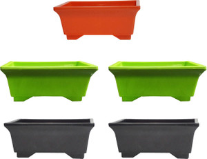 Daiwik Beauty tray Plant Container Set Price in India - Buy Daiwik ...