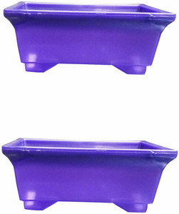 Daiwik Beauty tray Plant Container Set Price in India - Buy Daiwik ...