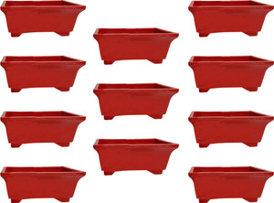 Daiwik Beauty tray Plant Container Set Price in India - Buy Daiwik ...