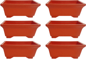 Daiwik Beauty tray Plant Container Set Price in India - Buy Daiwik ...