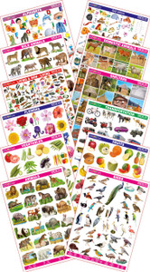 Spectrum Pre-School Educational Pictorial Charts - Set of 12 Pocket ...