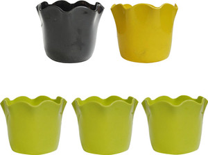 Daiwik Daisy pot Plant Container Set Price in India - Buy Daiwik Daisy ...