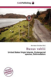 Buxus Vahlii: Buy Buxus Vahlii by unknown at Low Price in India ...