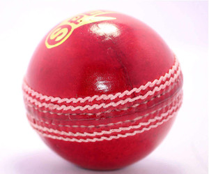 Quinergys ™ Heavy Duty Hand-Sewn 4-Piece Speed Grade Cricket Leather ...