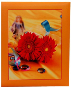 NATRAJ Slip in Photo Album With 0.6mm Thick Extra Clear PVC Film, 200 ...