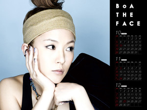 Music BoA Singers South Korea HD Wallpaper Background Fine Art Print ...