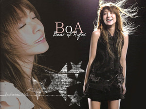 Music BoA Singers South Korea HD Wallpaper Background Fine Art Print ...