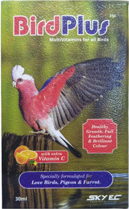 skyec 0639385372800, Bird plus multivitamins for all birds , for health ...