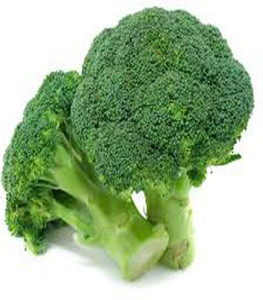 Antier BROCCOLI GREEN SEEDS (PACK OF 50 SEEDS X 2 PACKET) Seed Price in ...