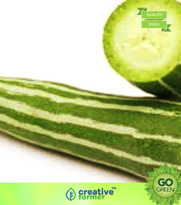 creative farmer Vegetable Seeds Chachinda Desi Seeds - Snakegourd Seeds ...