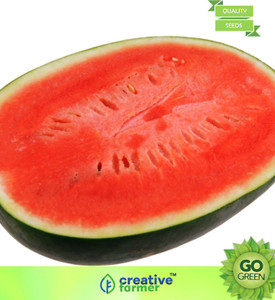 creative farmer Vegetable Seeds Thanni Mathan Seeds - Watermelon ...