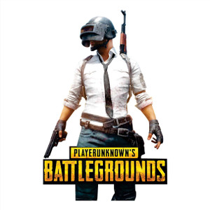 Artway 40 cm PUBG Game Wall Sticker Removable Sticker Price in India ...